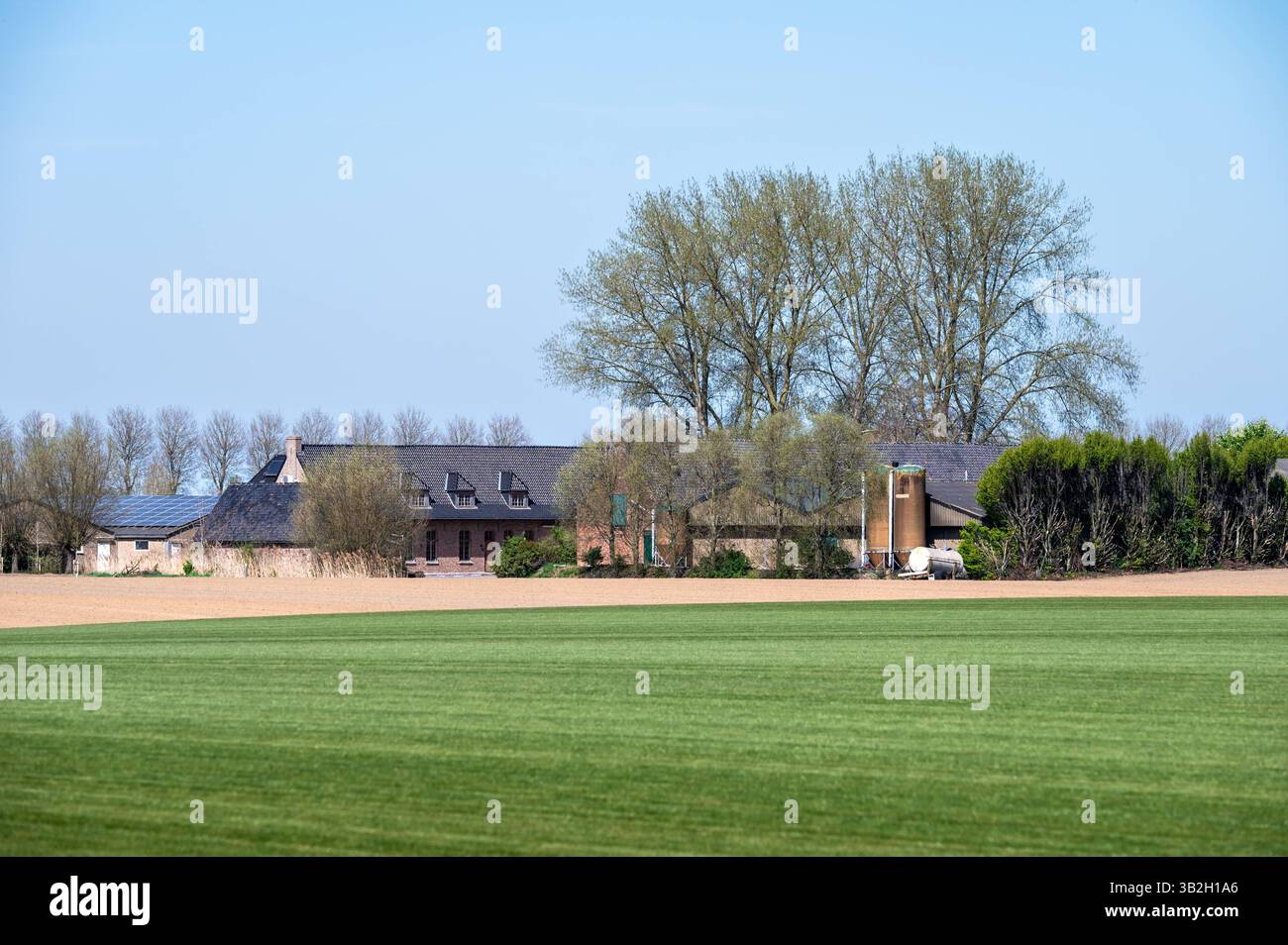 Green meadows and fresh agriculture fields at the Flemish countryside ...