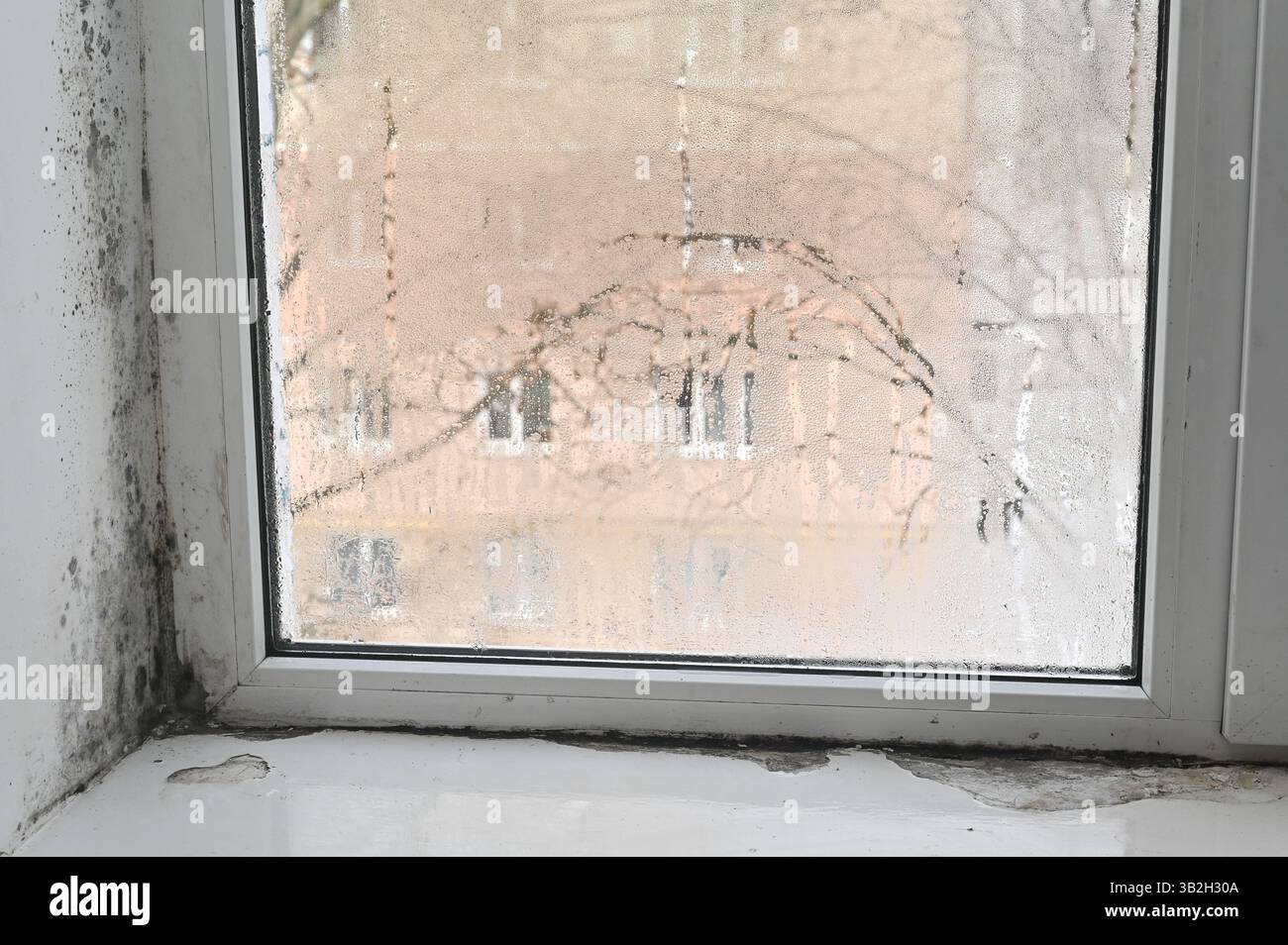 mold fungus on the window in the apartment. wet fogged glass due to ...