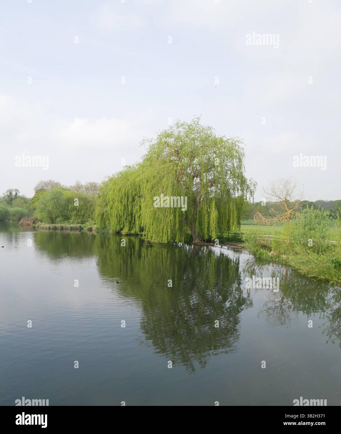 London Loop Part 2, Kent Stock Photo - Alamy