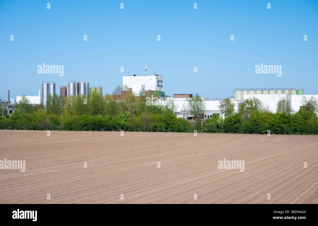 Brown soil of agriculture fields with the Milcobel Dairy industry ...