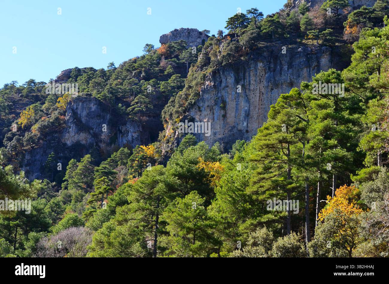 Sierra de Segura in south-eastern Spain, a mosaic of European biomes ...