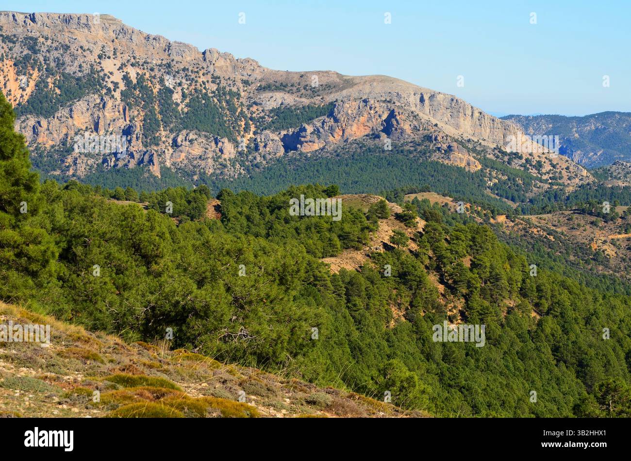 Sierra de Segura in south-eastern Spain, a mosaic of European biomes ...