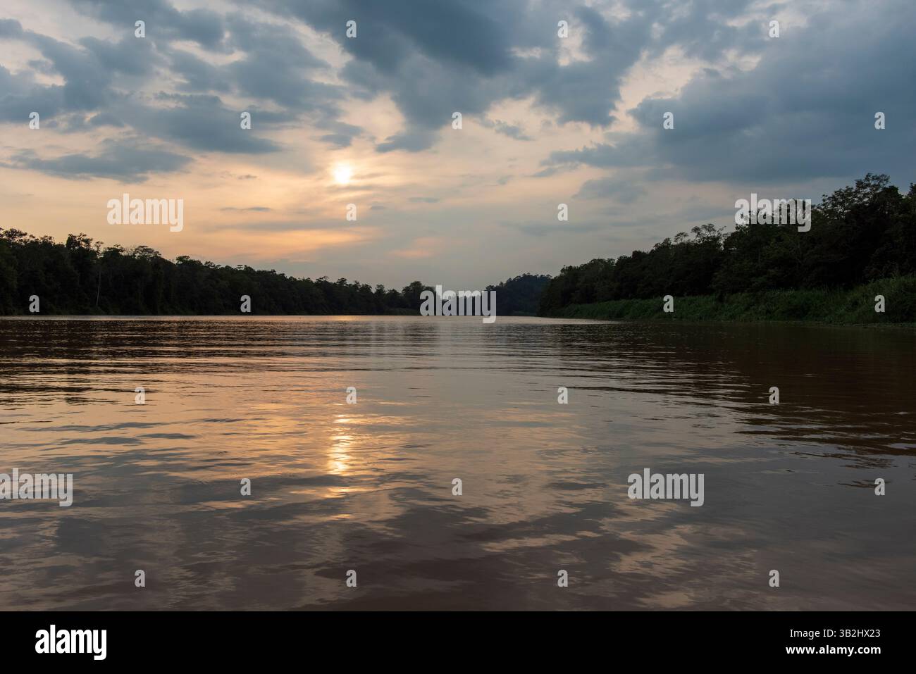 Kinabatangan River, Sabah, Malaysia Stock Photo - Alamy