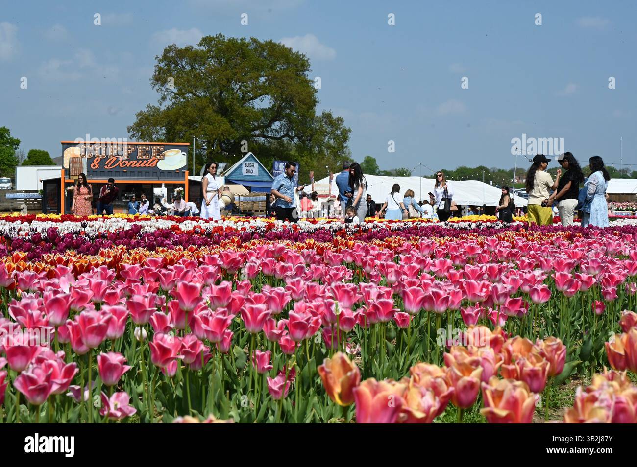 Field look faboulous hi-res stock photography and images - Alamy