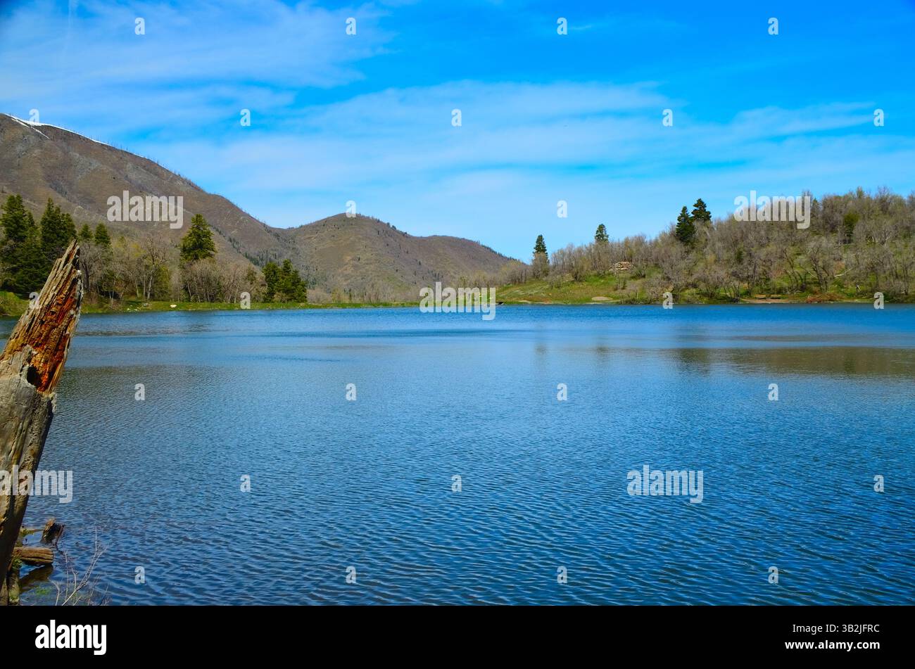 Maple lake hi-res stock photography and images - Alamy