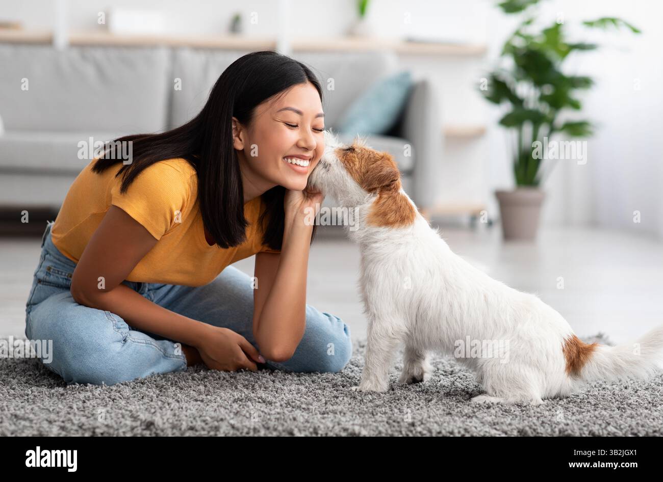 Fluffy dog kissing its owner young asian woman Stock Photo - Alamy