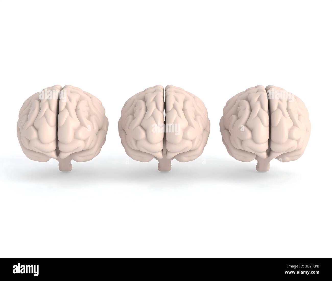 3d anatomical models on Cut Out Stock Images & Pictures - Alamy