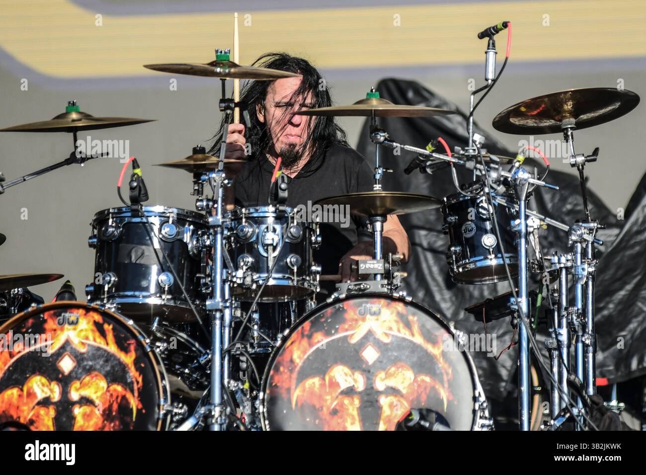 Casey grillo hi-res stock photography and images - Alamy
