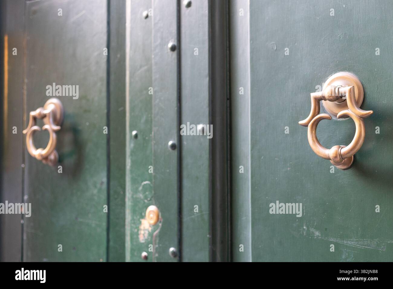 Two ornate brass door knockers shine against the deep green surface of ...