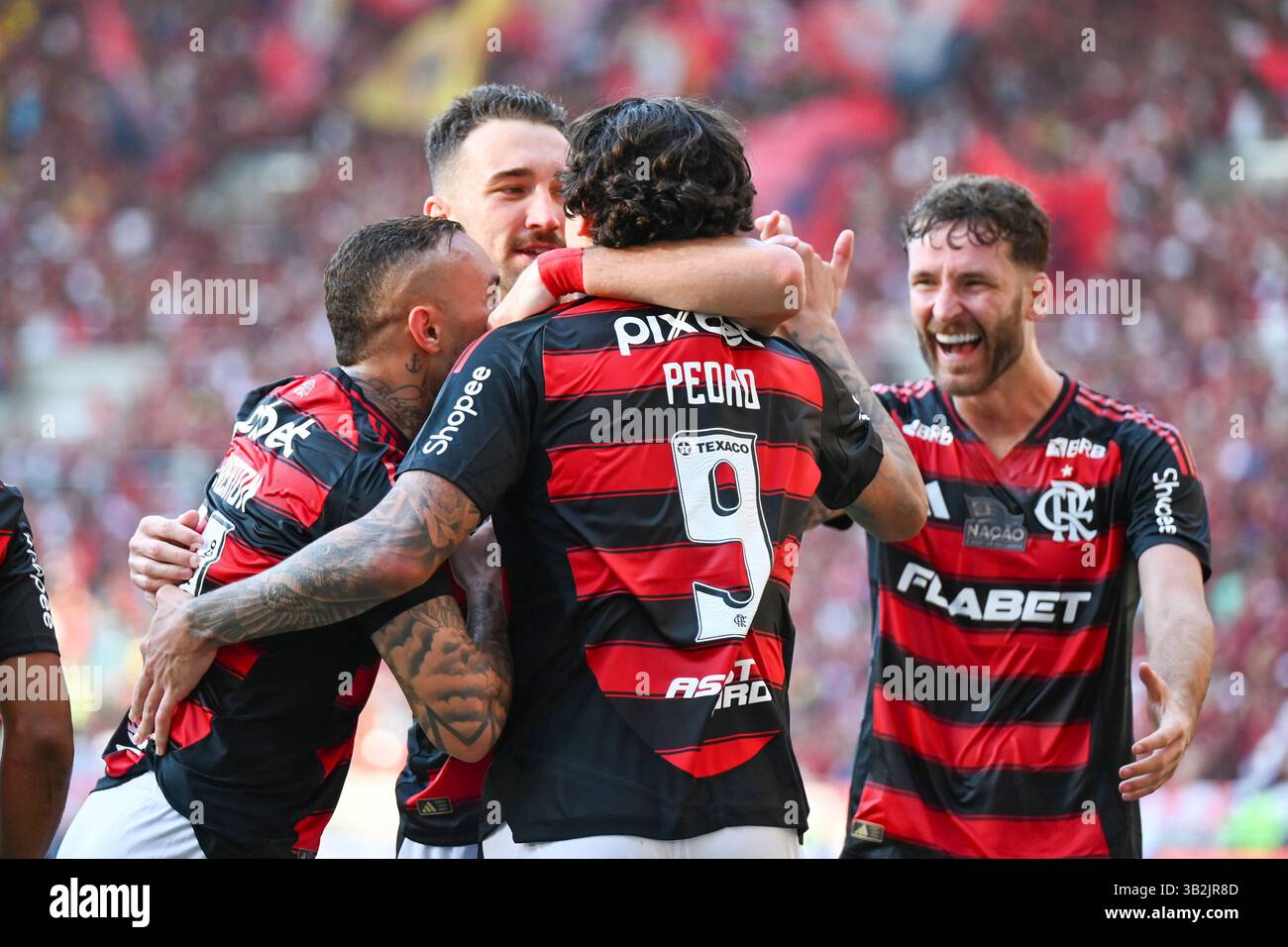 Rio, Brazil - Abril 27, 2025: player celebration during the game ...