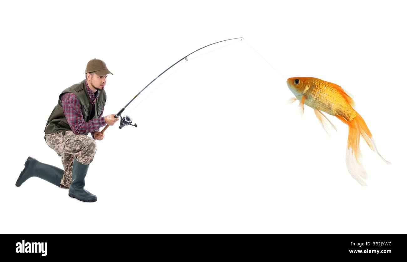 Fisherman catching goldfish with rod on white background Stock Photo ...