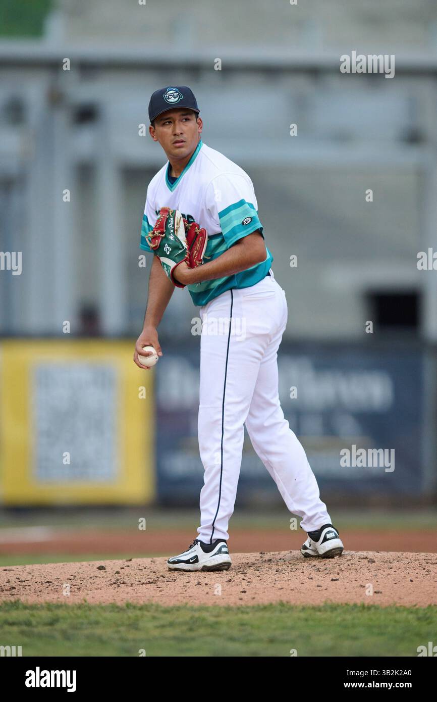 Asheville Tourists starting pitcher Alain Pena (28) checks the runner at first base during a ...