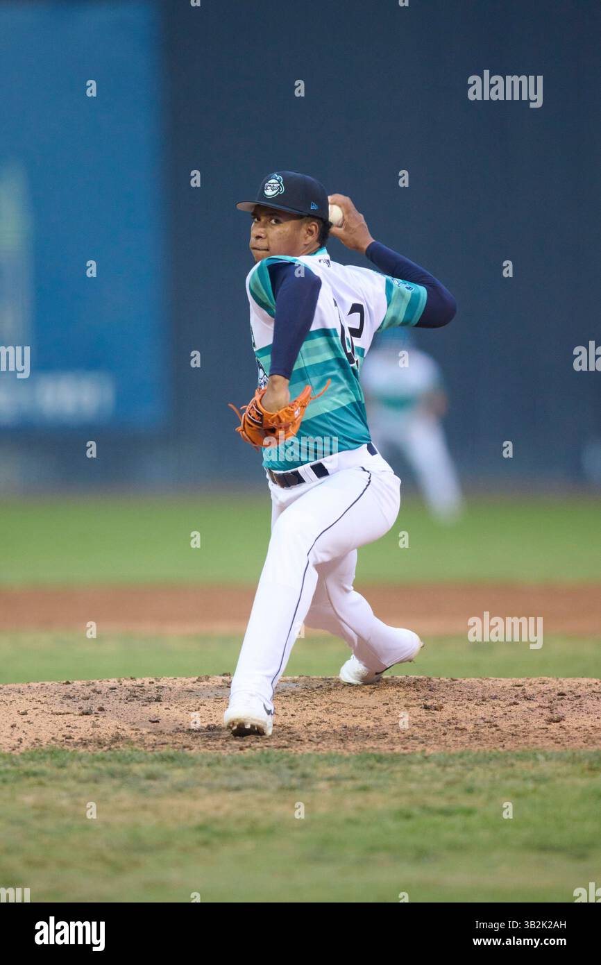 Asheville Tourists pitcher Juan Bello (22) delivers a pitch during a ...