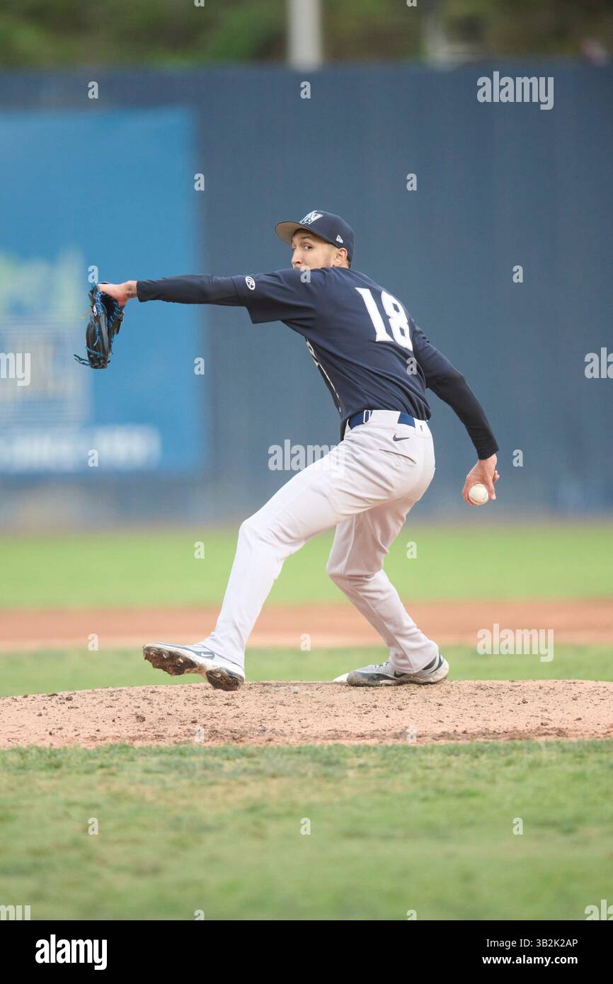 Hudson Valley Renegades starting pitcher Elmer Rodriguez-Cruz (18 ...