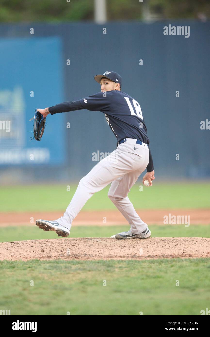 Hudson Valley Renegades starting pitcher Elmer Rodriguez-Cruz (18 ...