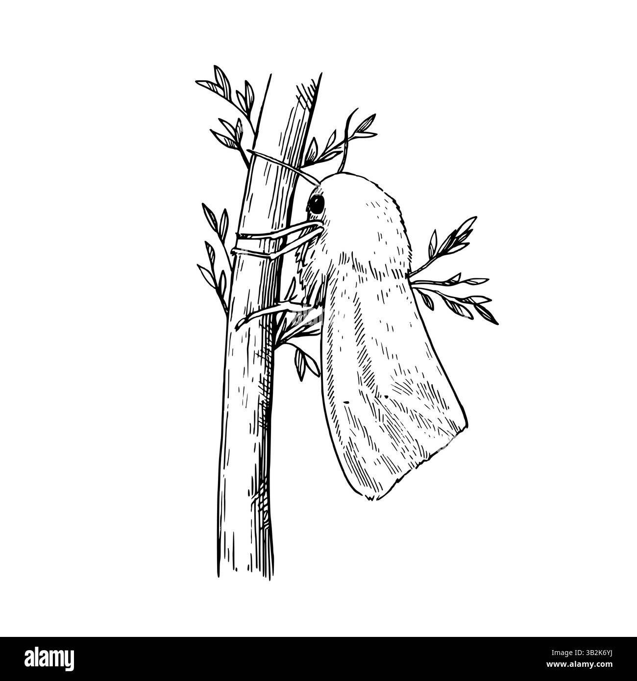 Cute fluffy white moth sitting on plant branch. Hand-drawn detailed ...