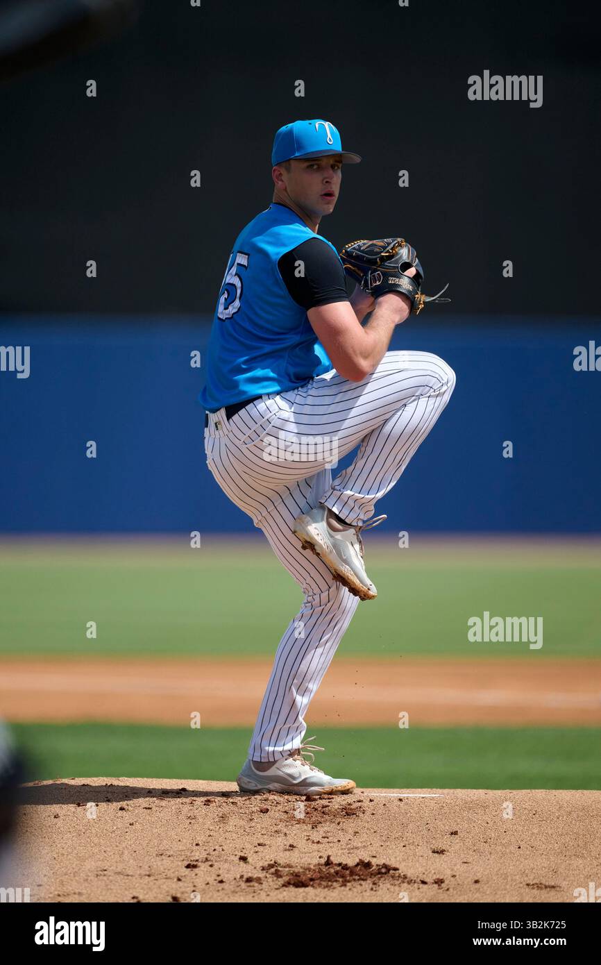 Tampa Tarpons pitcher Tanner Bauman (15) delivers a pitch during an ...