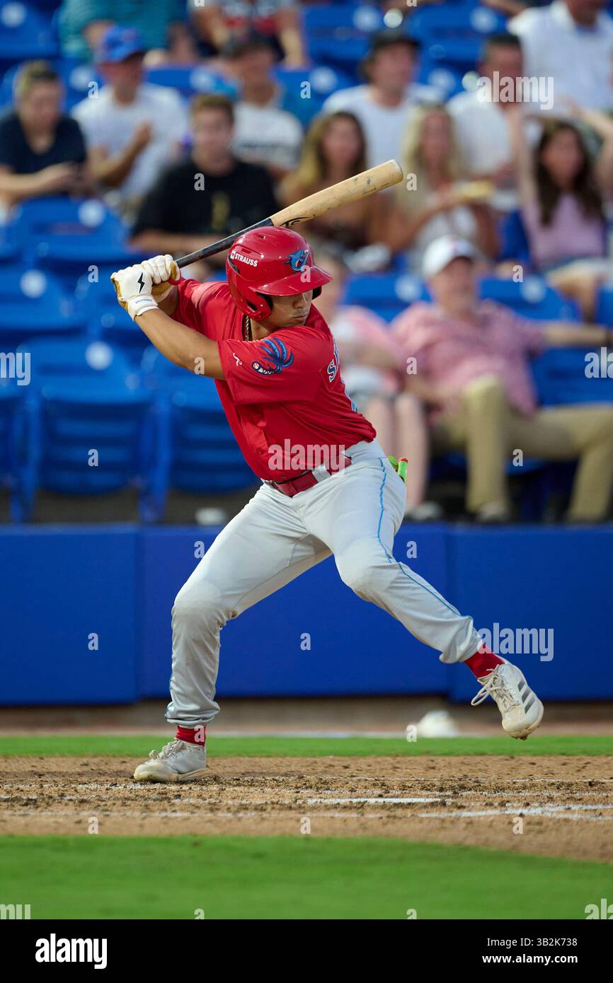 Clearwater Threshers Kodey Shojinaga (22) bats during an MiLB Florida ...