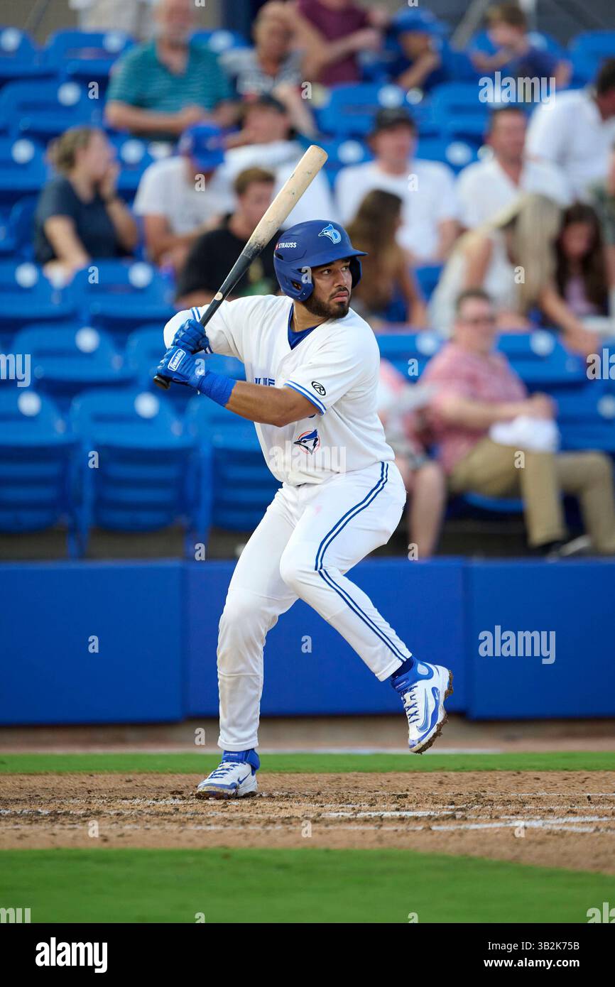Dunedin Blue Jays Edward Duran (6) bats during an MiLB Florida State ...