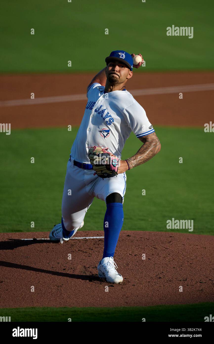 Dunedin Blue Jays pitcher Daniel Guerra (10) during an MiLB Florida ...