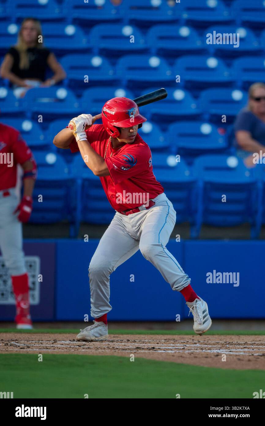 Clearwater Threshers Kodey Shojinaga (22) at bat during an MiLB Florida ...