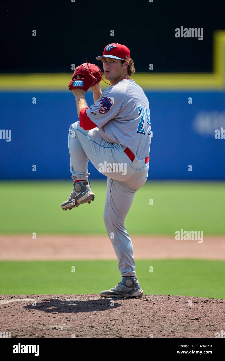 Clearwater Threshers pitcher Ryan Degges (29) delivers a pitch during ...