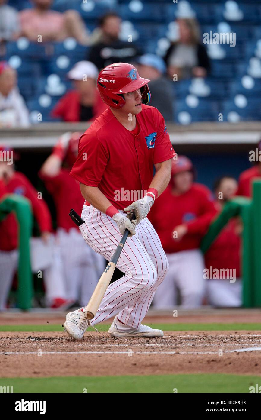 Clearwater Threshers Joel Dragoo (7) bats during an MiLB Florida State ...