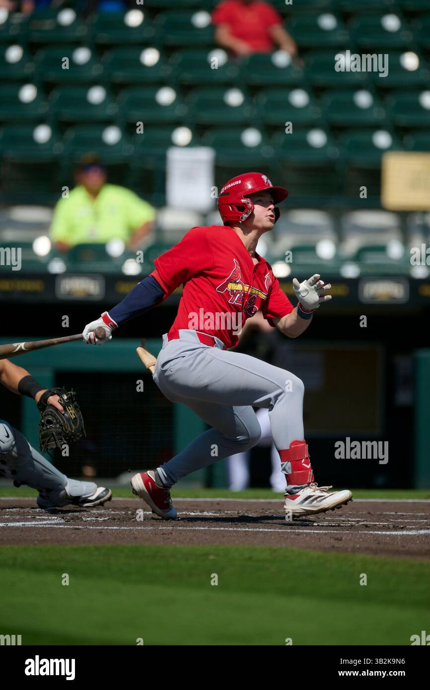 Palm Beach Cardinals Christian Martin (3) bats during an MiLB Florida ...