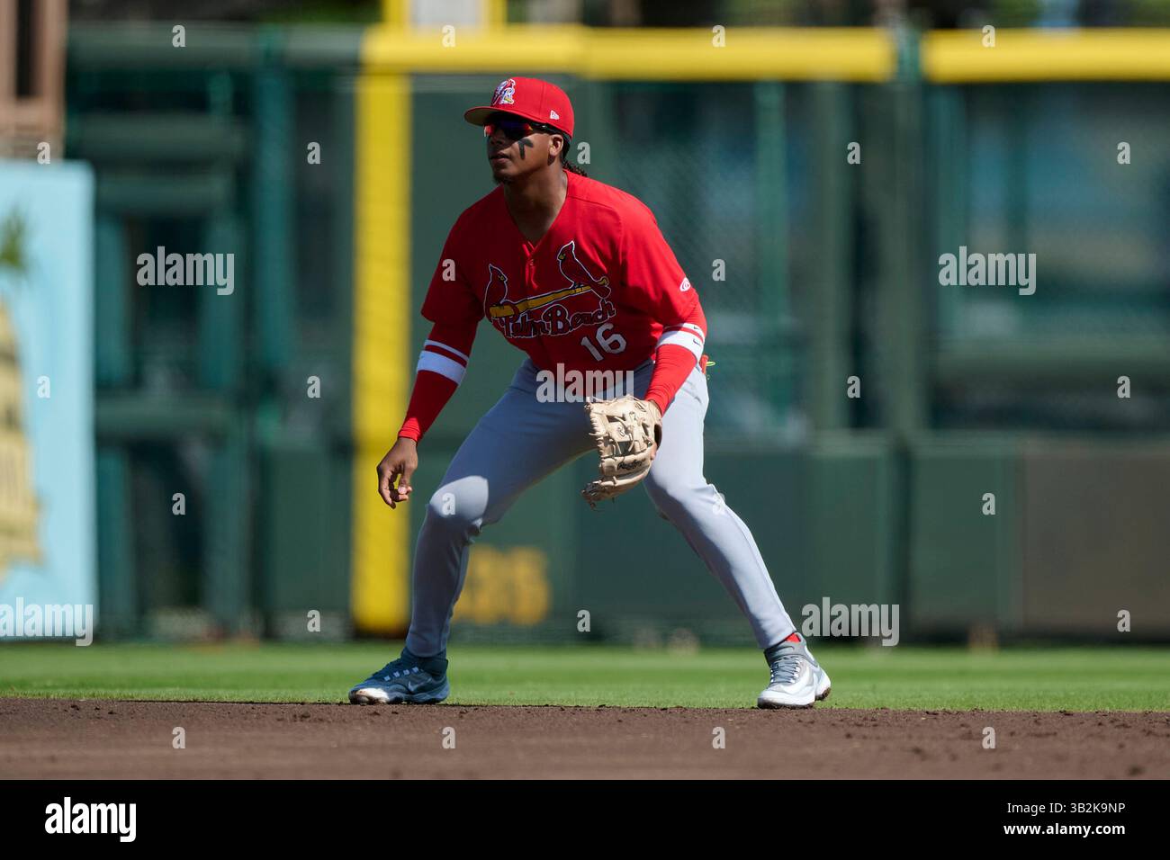 Palm Beach Cardinals shortstop Anyelo Encarnacion (16) during an MiLB ...