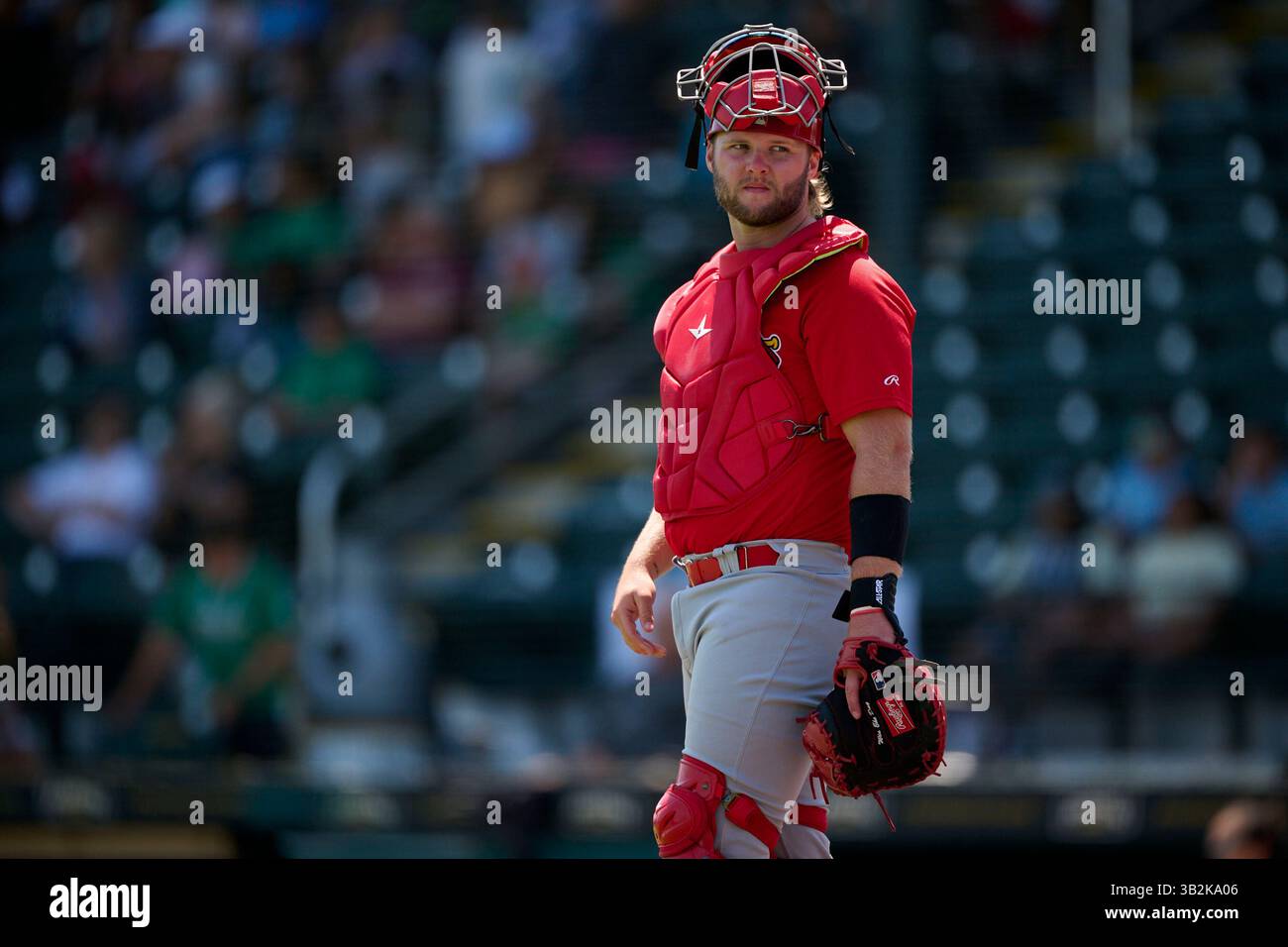 Palm Beach Cardinals catcher Josh Kross (41) during an MiLB Florida ...