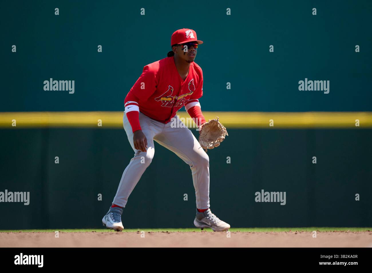 Palm Beach Cardinals shortstop Anyelo Encarnacion (16) during an MiLB ...