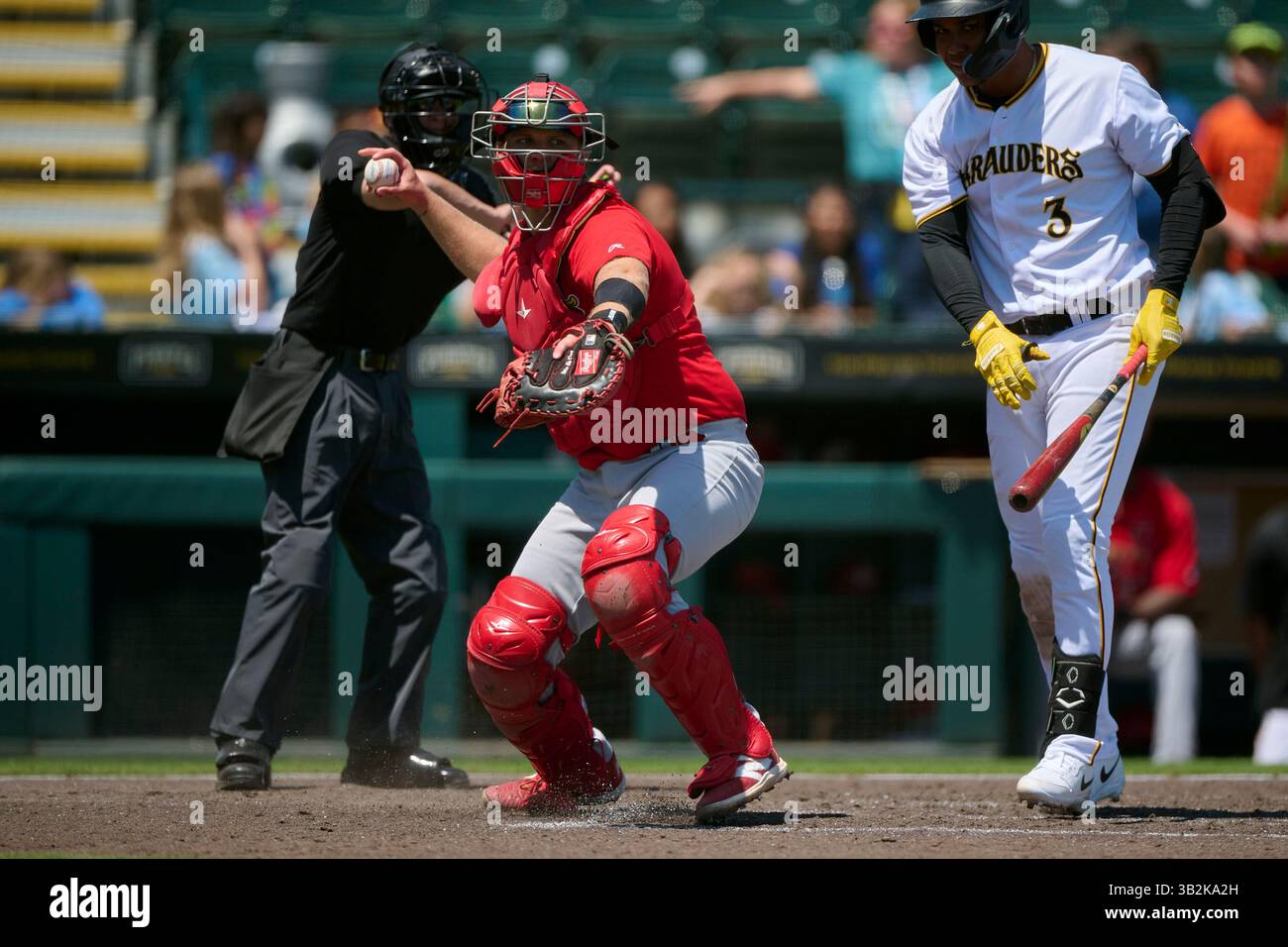 Palm Beach Cardinals catcher Josh Kross (41) throws to first base after ...