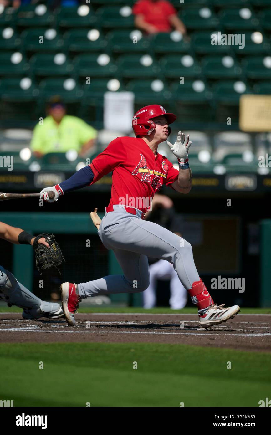 Palm Beach Cardinals Christian Martin (3) bats during an MiLB Florida ...