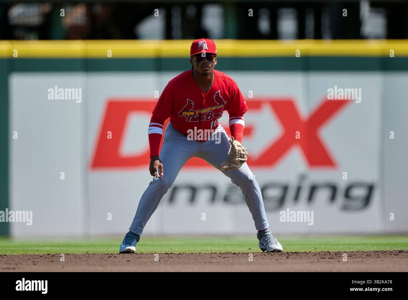 Palm Beach Cardinals shortstop Anyelo Encarnacion (16) during an MiLB ...