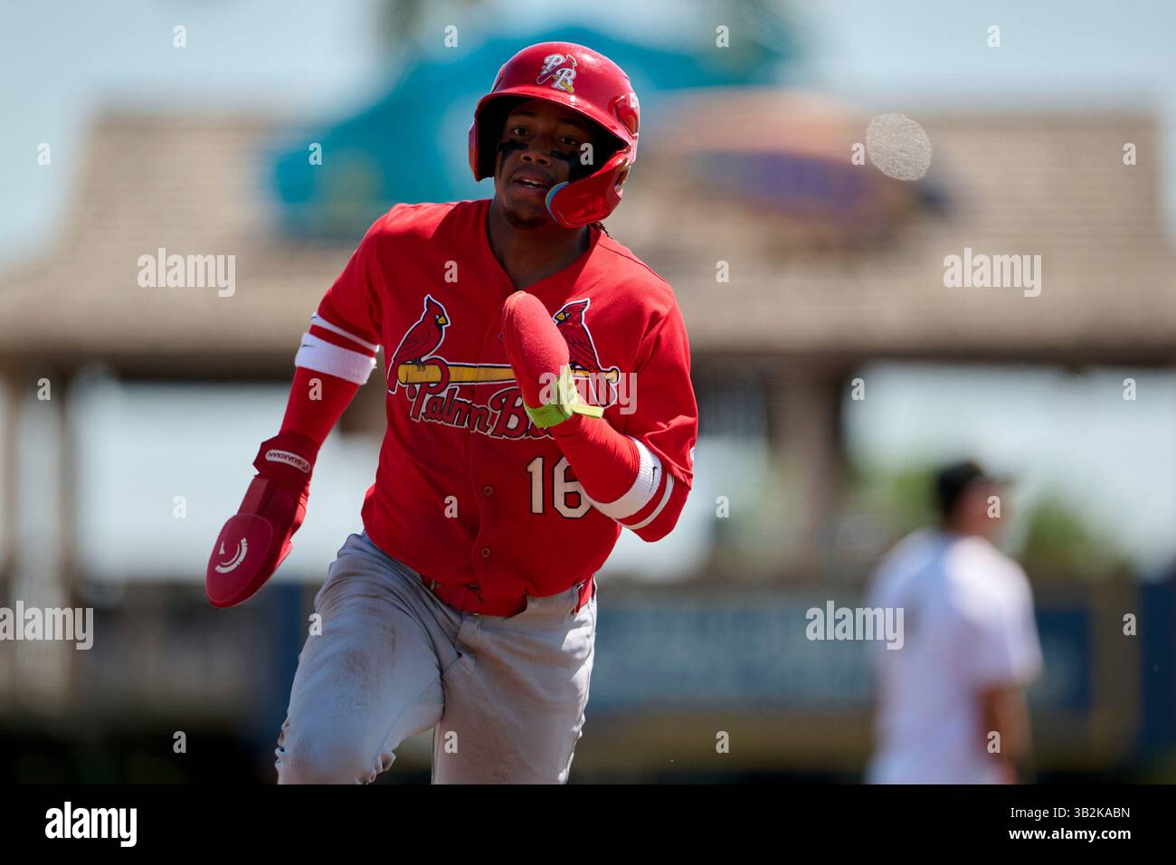 Palm Beach Cardinals Anyelo Encarnacion (16) running the bases during ...