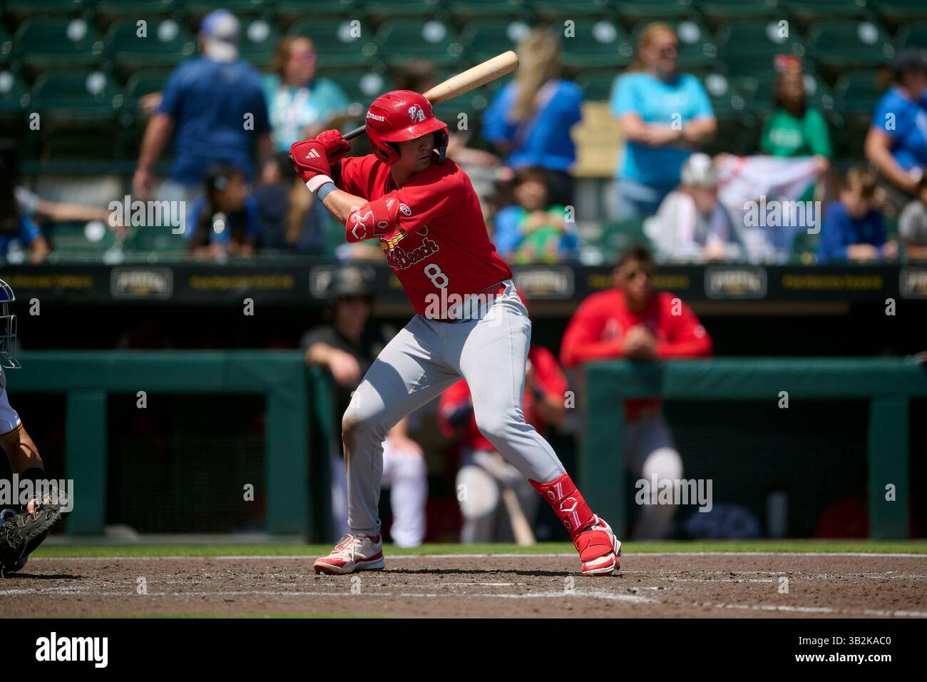 Palm Beach Cardinals Cade McGee (8) bats during an MiLB Florida State ...