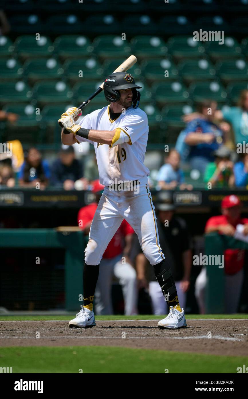 Bradenton Marauders Andrew Patrick (19) bats during an MiLB Florida ...