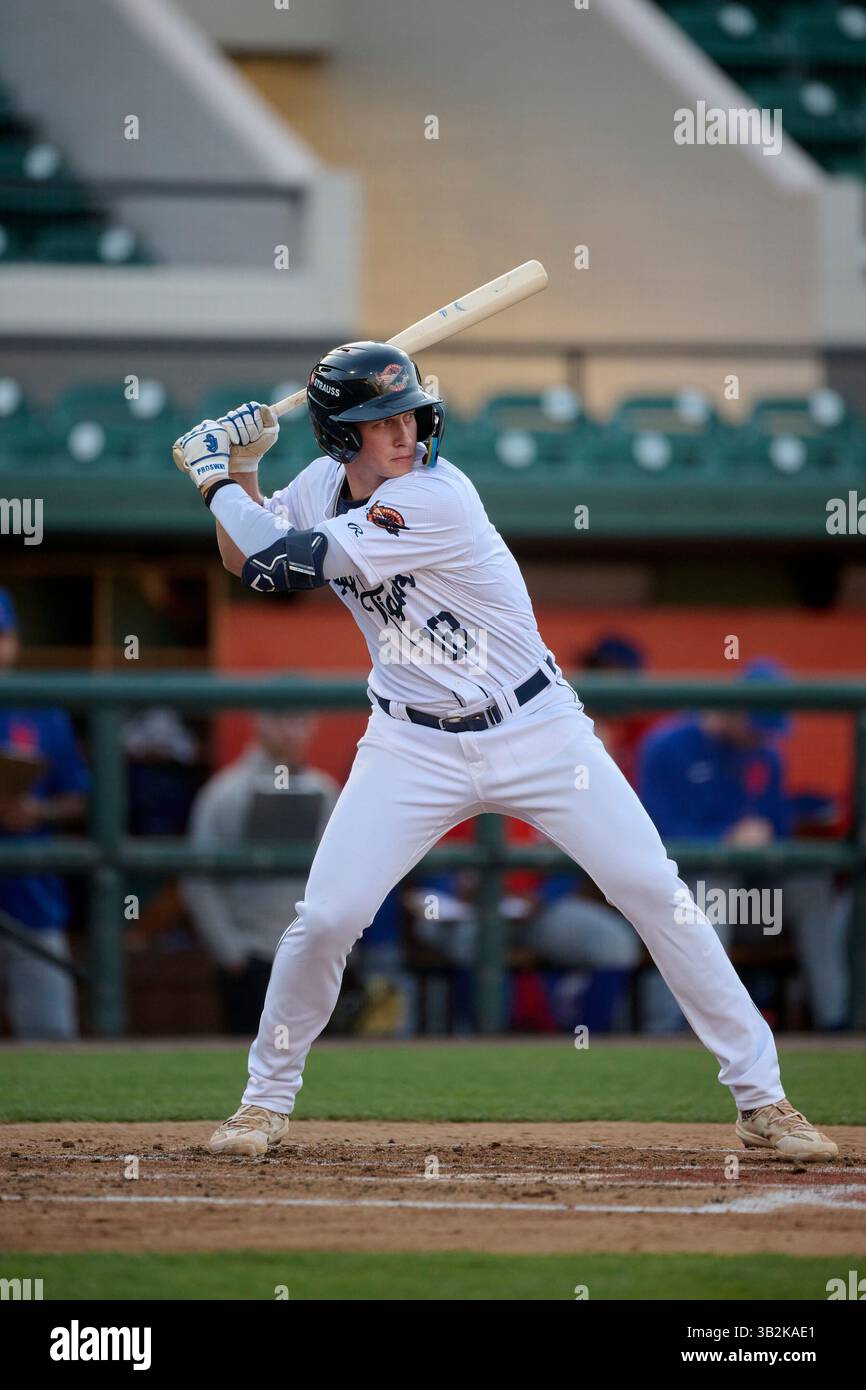 Lakeland Flying Tigers Carson Rucker (18) bats during an MiLB Florida ...