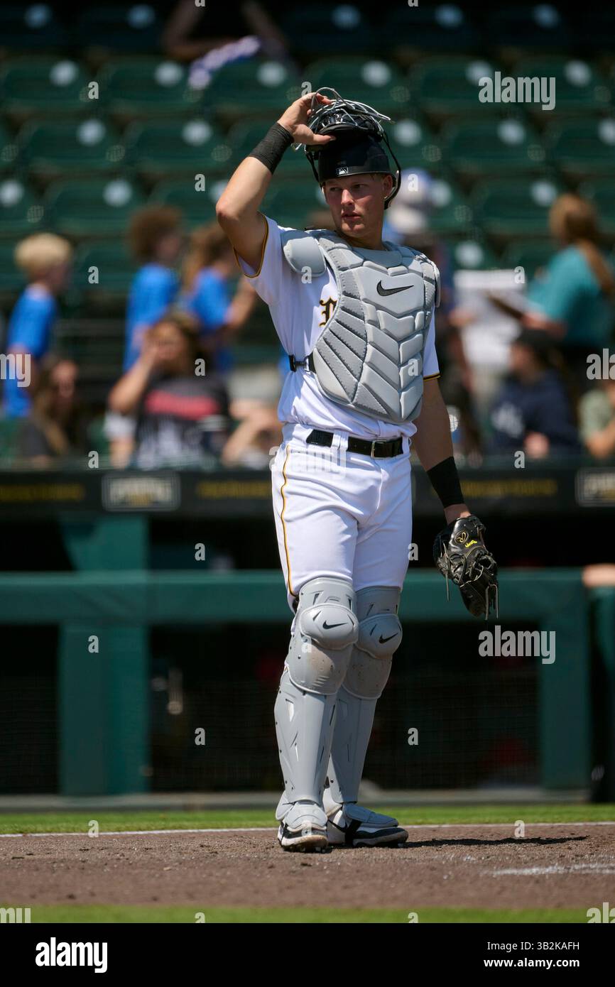 Bradenton Marauders catcher Derek Berg (12) during an MiLB Florida ...