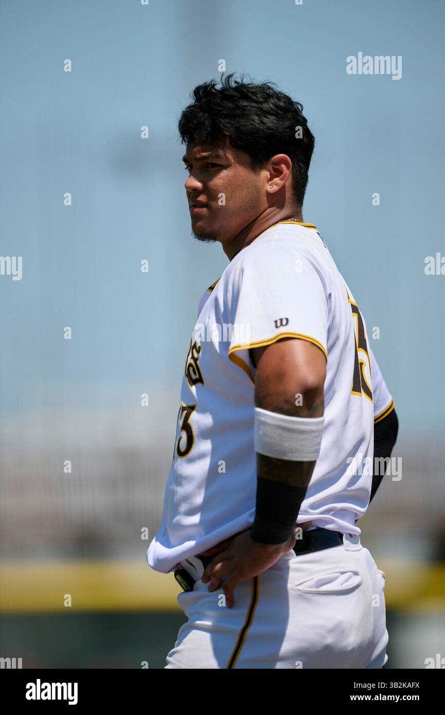Bradenton Marauders Axiel Plaz (13) during an MiLB Florida State League ...
