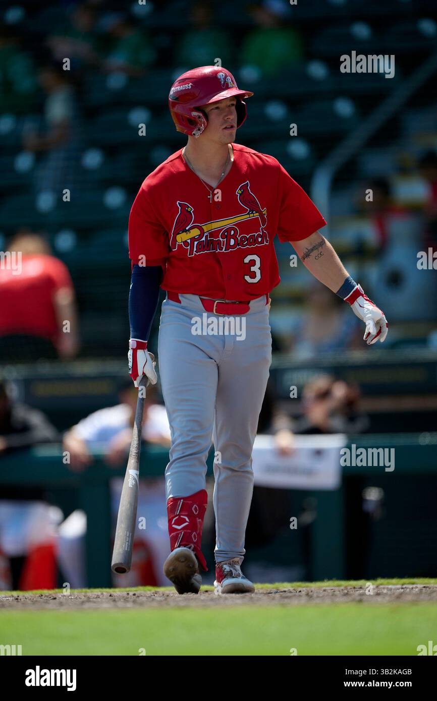 Palm Beach Cardinals Christian Martin (3) bats during an MiLB Florida ...