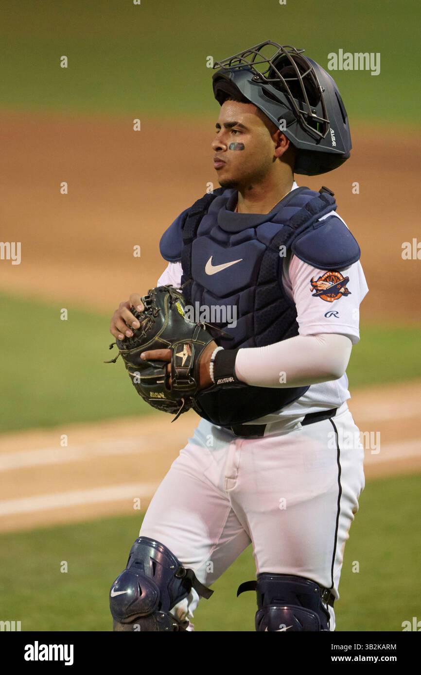 Lakeland Flying Tigers catcher Ricardo Hurtado (17) during an MiLB ...