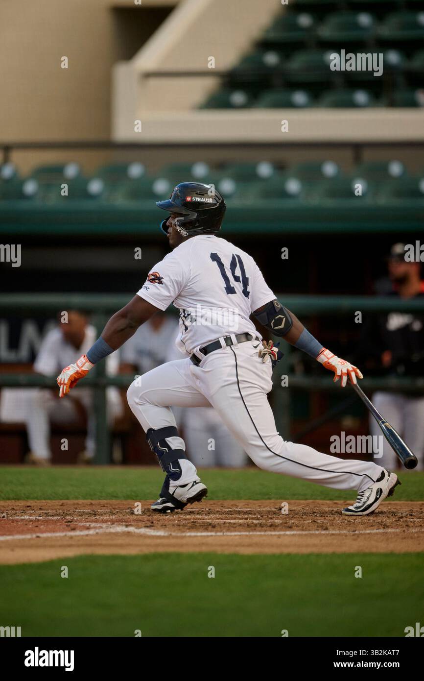 Lakeland Flying Tigers Nomar Fana (14) bats during an MiLB Florida ...