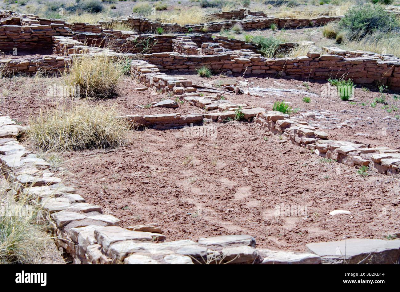 Puerco Pueblo with Desert Tortoise tracks Stock Photo - Alamy