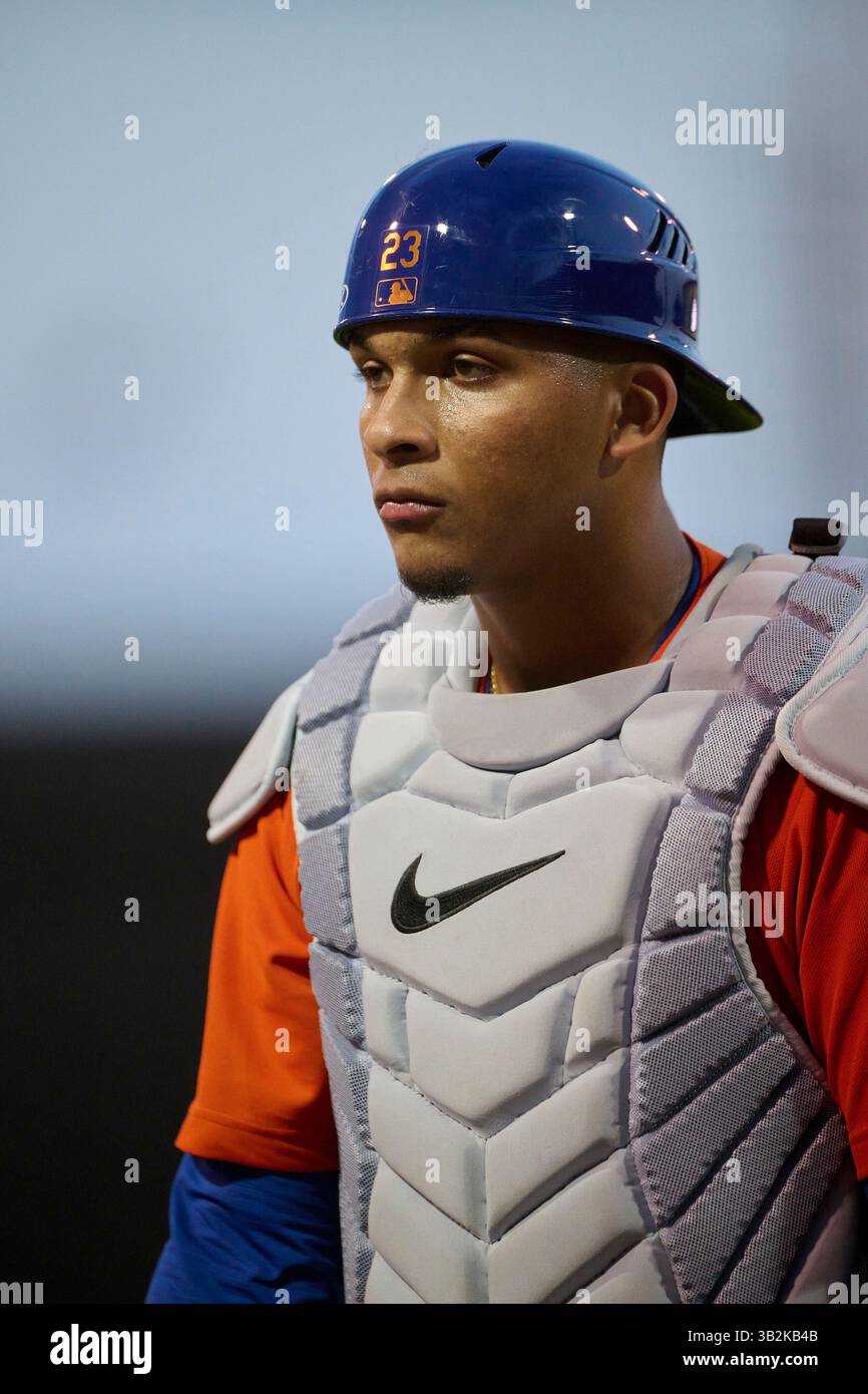 St. Lucie Mets catcher Daiverson Gutierrez (11) during an MiLB Florida ...