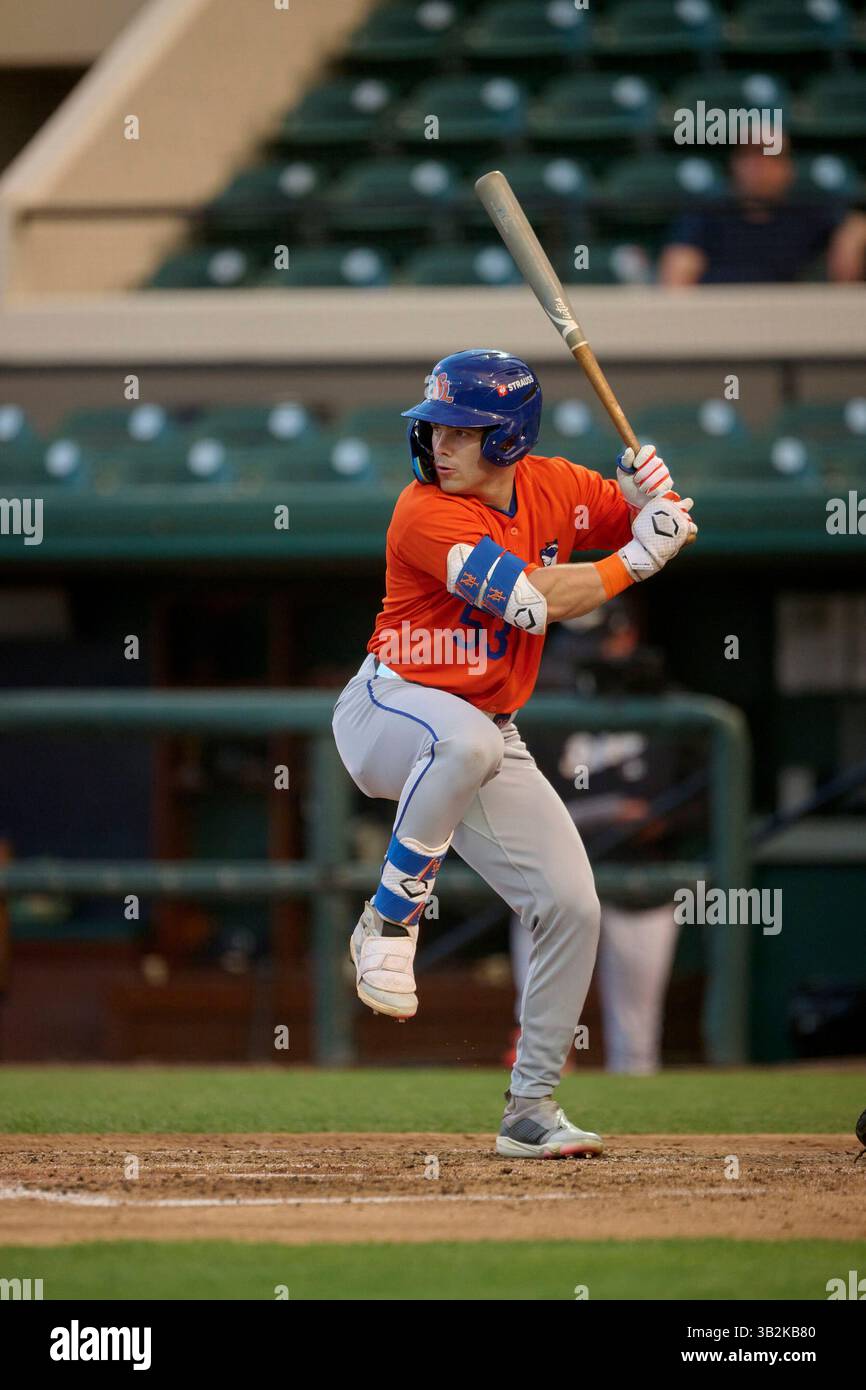 St. Lucie Mets Drew Gilbert (53) bats during an MiLB Florida State ...