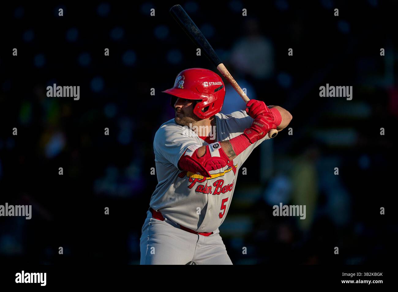 Palm Beach Cardinals Bryce Madron (5) bats during an MiLB Florida State ...