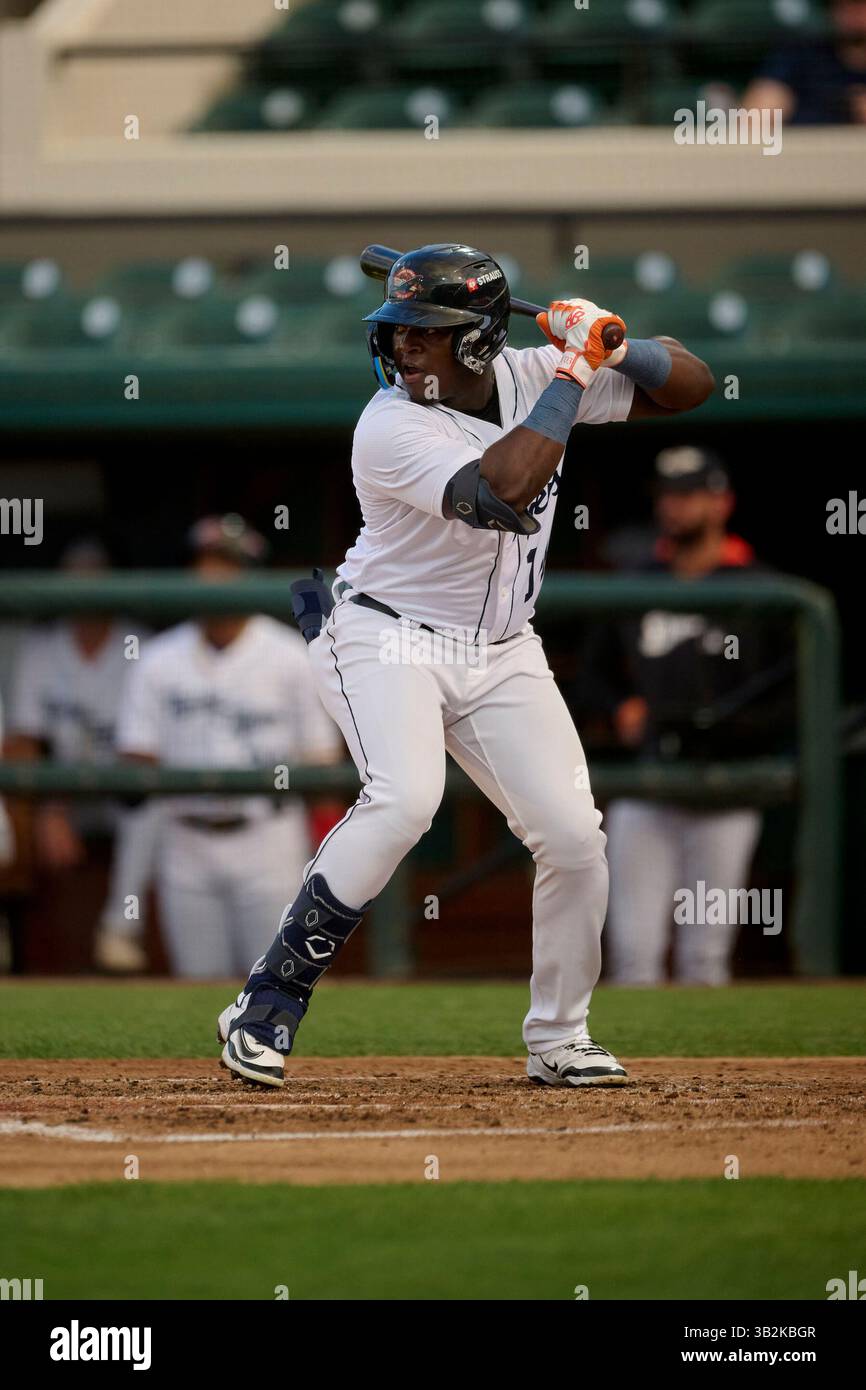Lakeland Flying Tigers Nomar Fana (14) bats during an MiLB Florida ...