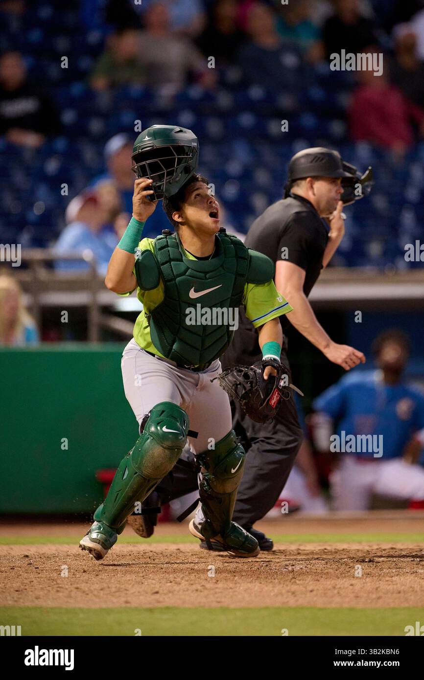 Daytona Tortugas catcher Diego Omana (31) tracks a popup during an MiLB ...