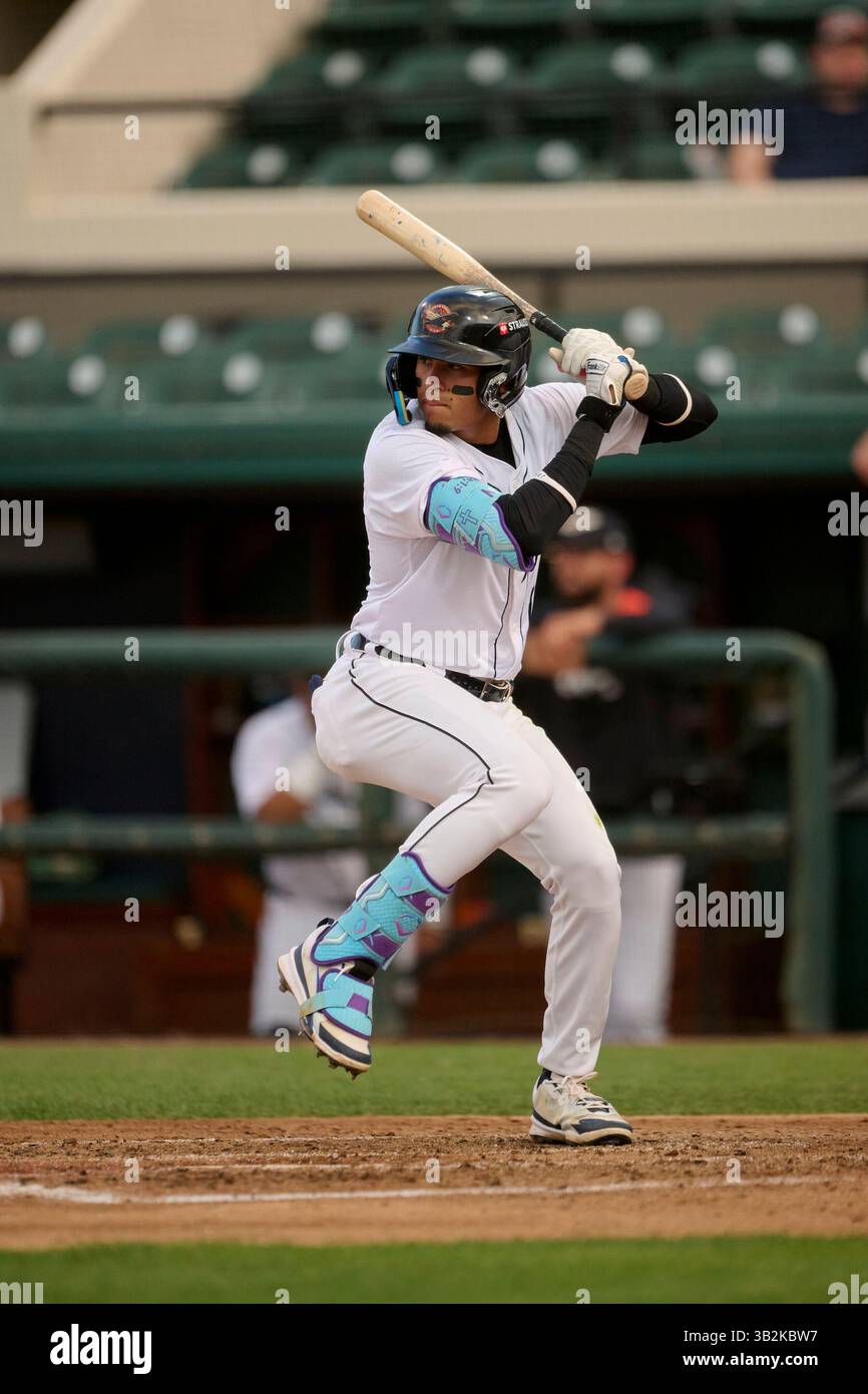 Lakeland Flying Tigers Franyerber Montilla (12) bats during an MiLB ...